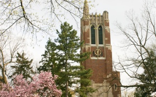 What Is MSU Zoom and How to Use MSU Zoom